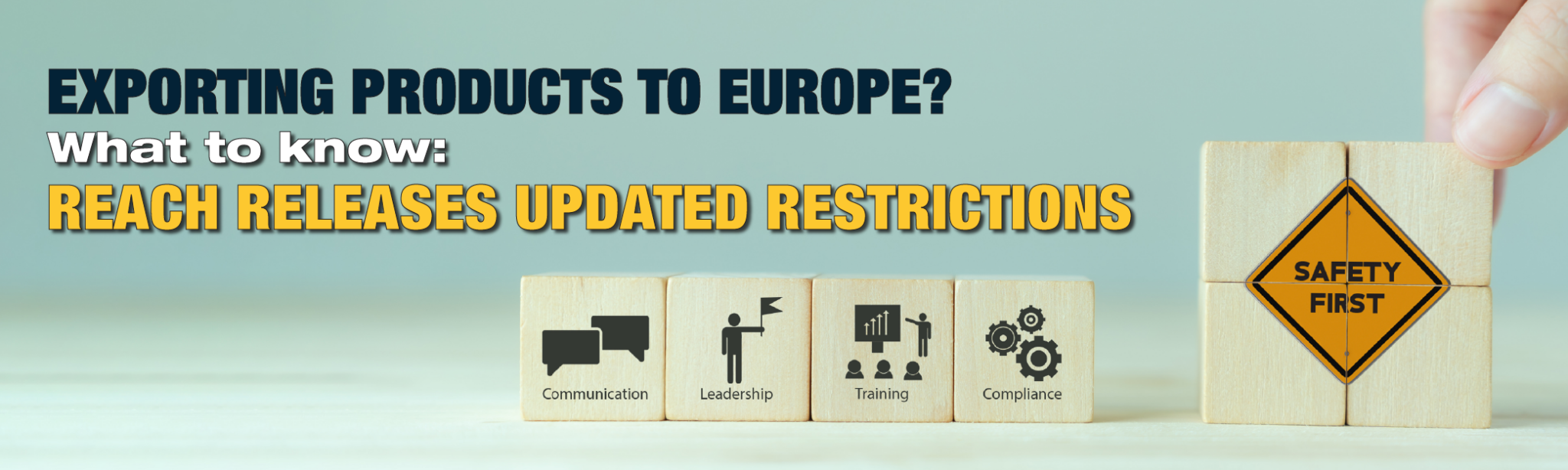 REACH releases updated chemical safety restrictions | Help Center | ICC