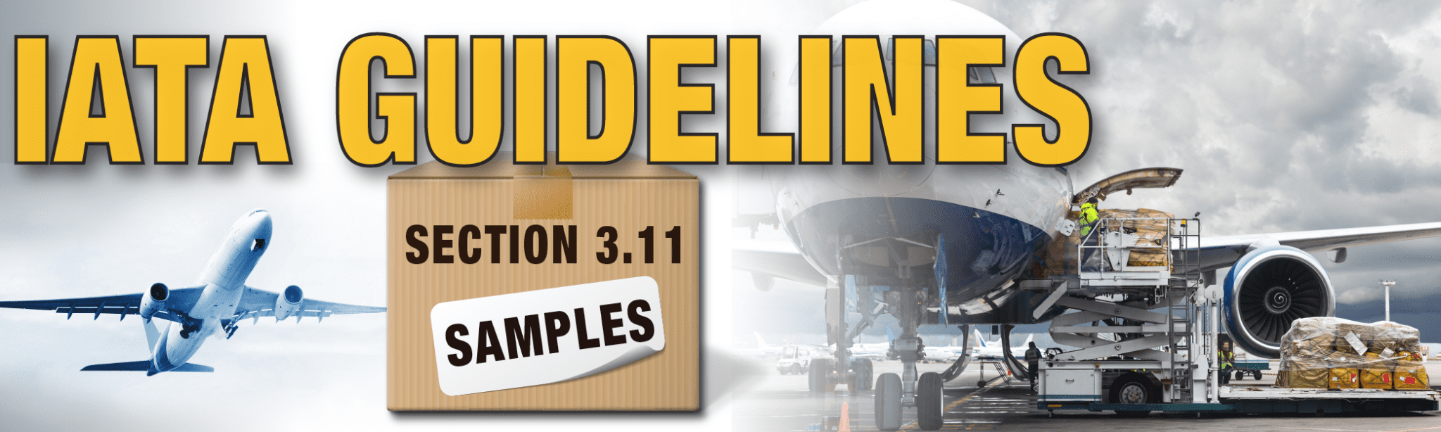 IATA Guidelines: Samples Section 3.11 | Help Center | ICC