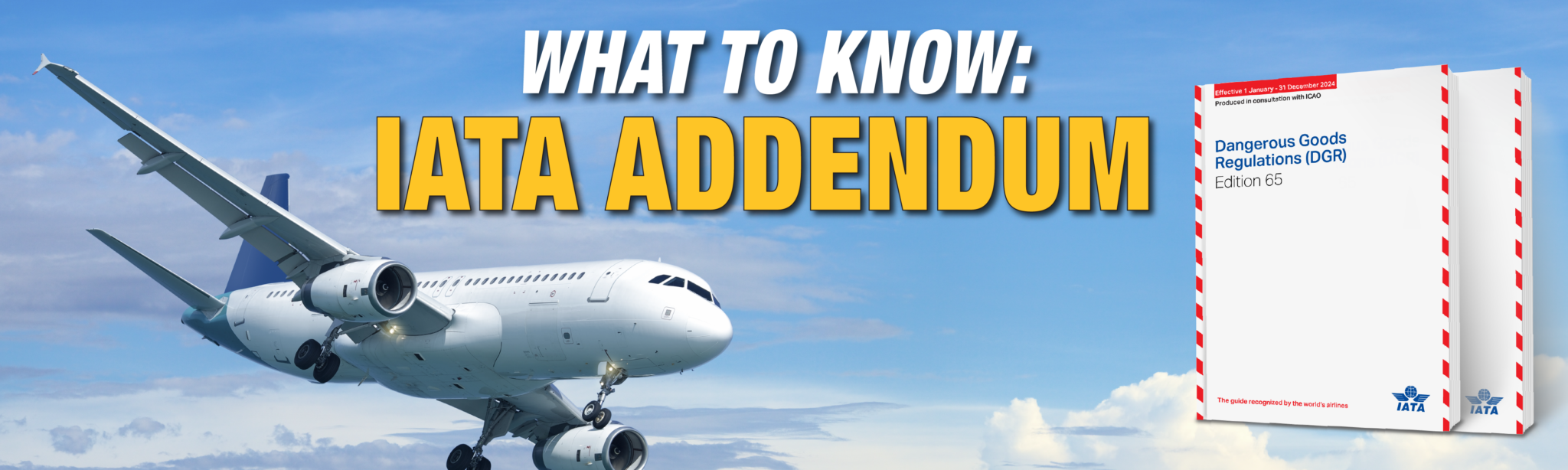 Addendum to IATA’s 65th Edition | Help Center | ICC