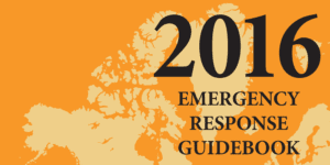 Anatomy of an ERG - ICC Compliance Center Inc - USA | Help Center
